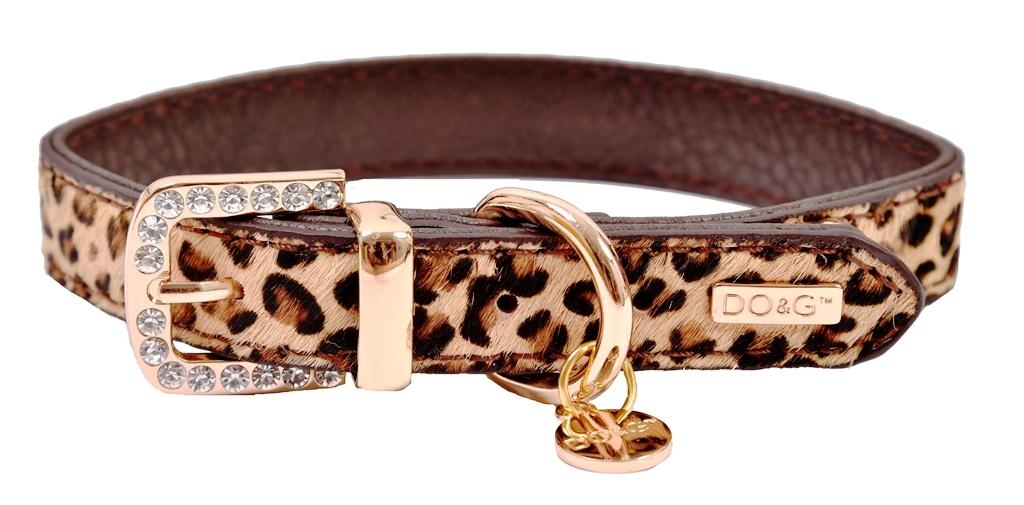 Safari Leopard Print Collar – PJ Pet Products