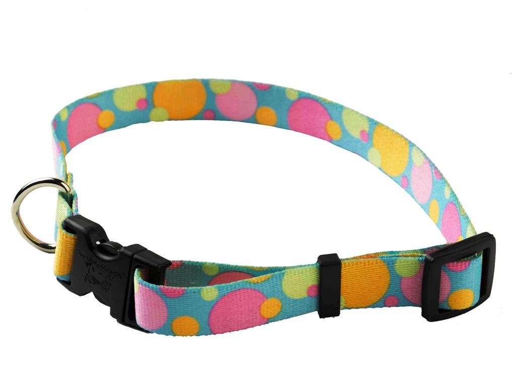 Circles Collar | PJ Pet Products