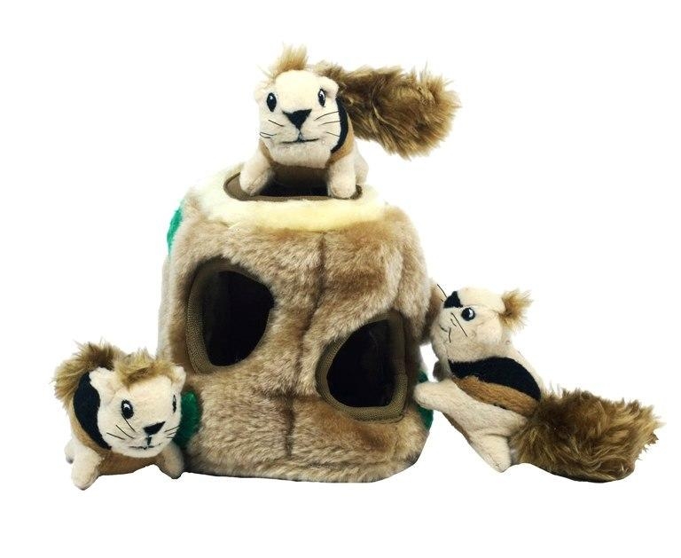 Outward Hound Hide-A-Squirrel SML | PJ Pet Products